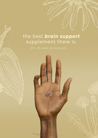 brain support for seniors and adults