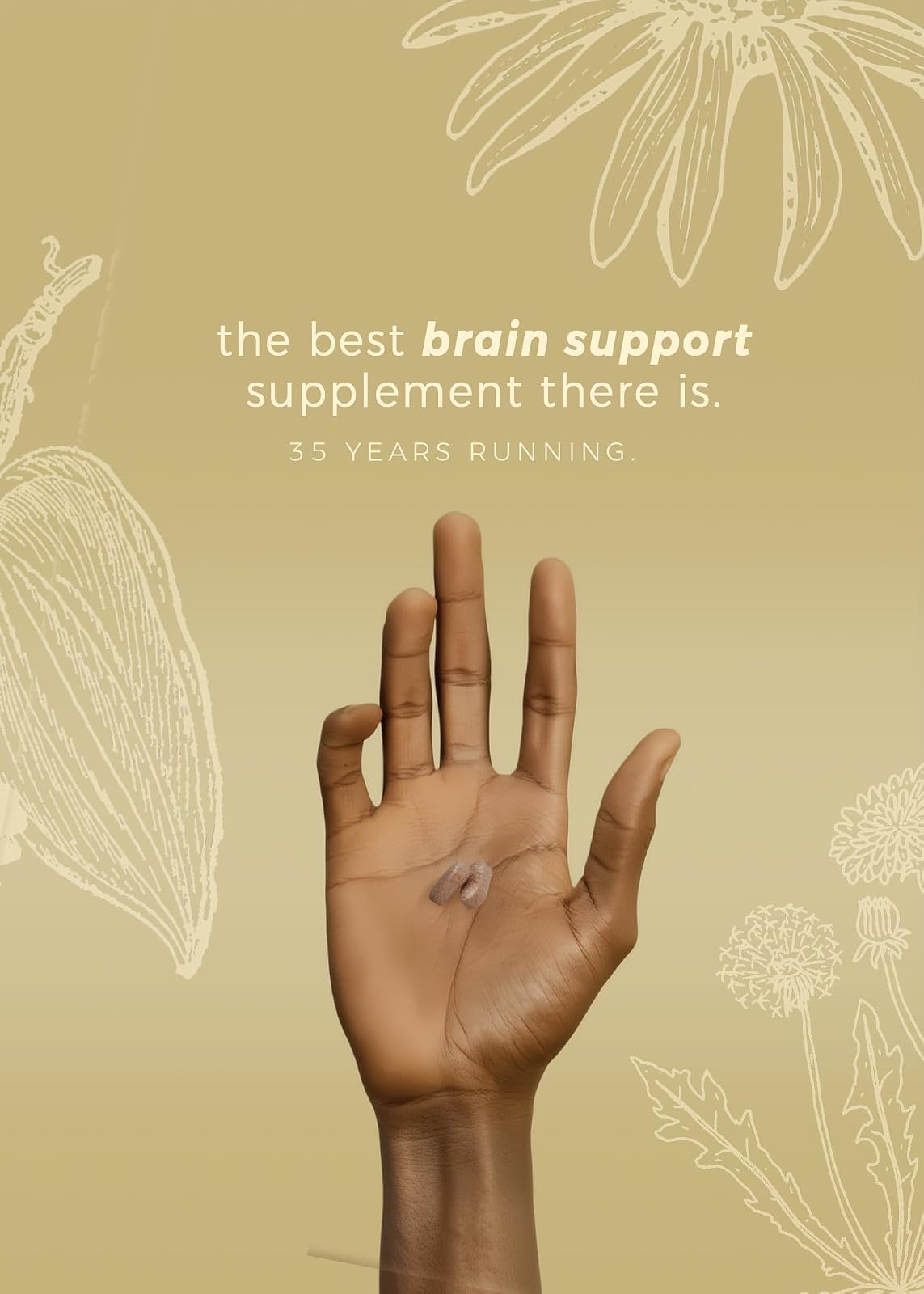 brain support for seniors and adults