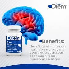 brain support for seniors