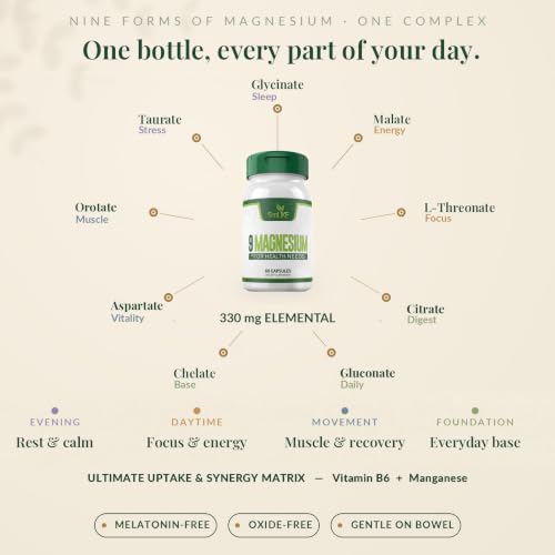 brain support magnesium supplement