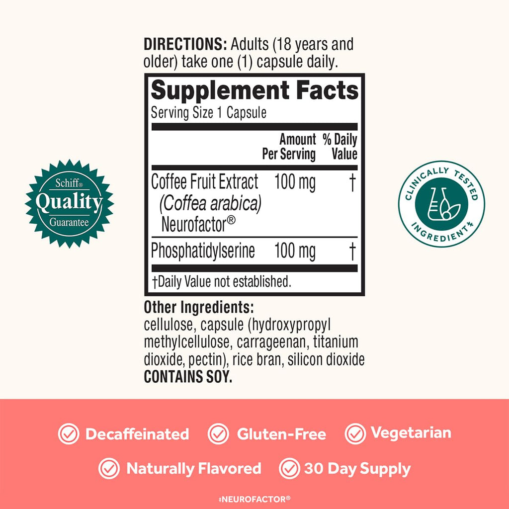 brain support multivitamin for adults