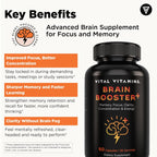 brain support multivitamin for adults