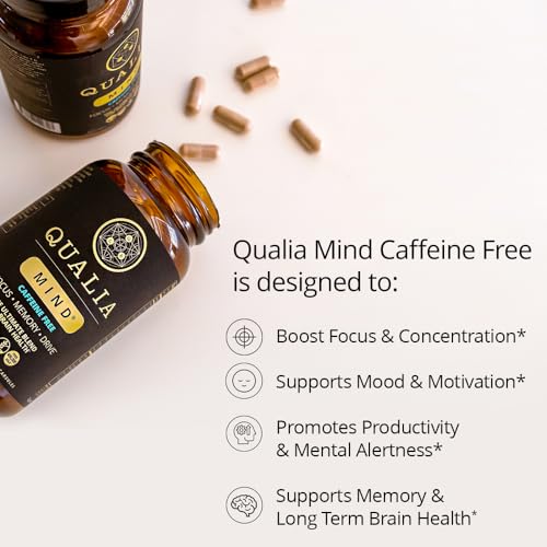 brain support multivitamins for focus