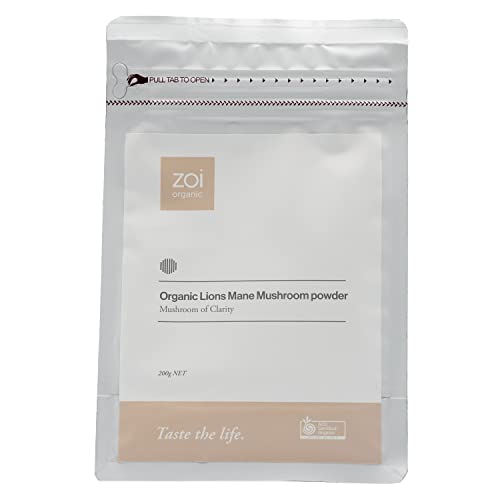 brain support mushroom supplement