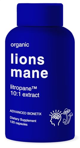 brain support mushroom supplement
