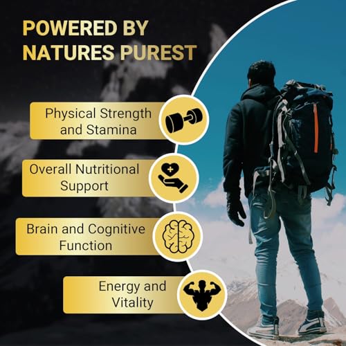 brain support shilajit with ginseng