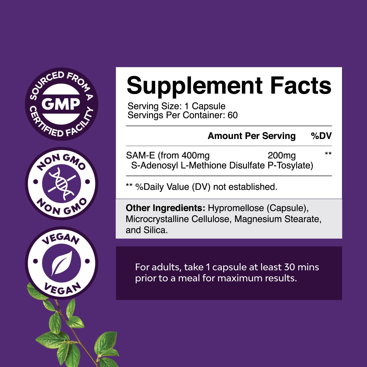 brain support vitamins for focus