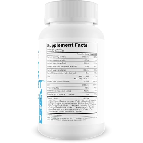 brain vigor ginkgo biloba benefits