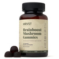 Brainboost mushroom gummies for energy