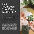 BrainMD Betaine TMG essential for stress relief