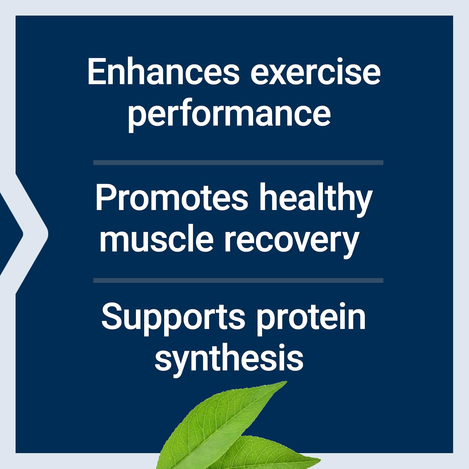 Branched chain amino acids for athletes