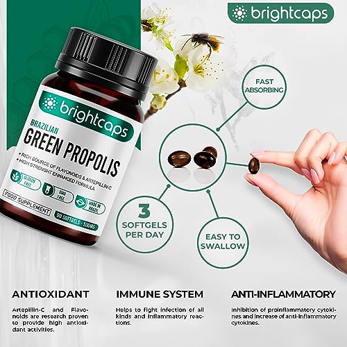 Brazilian Green Propolis antioxidant properties