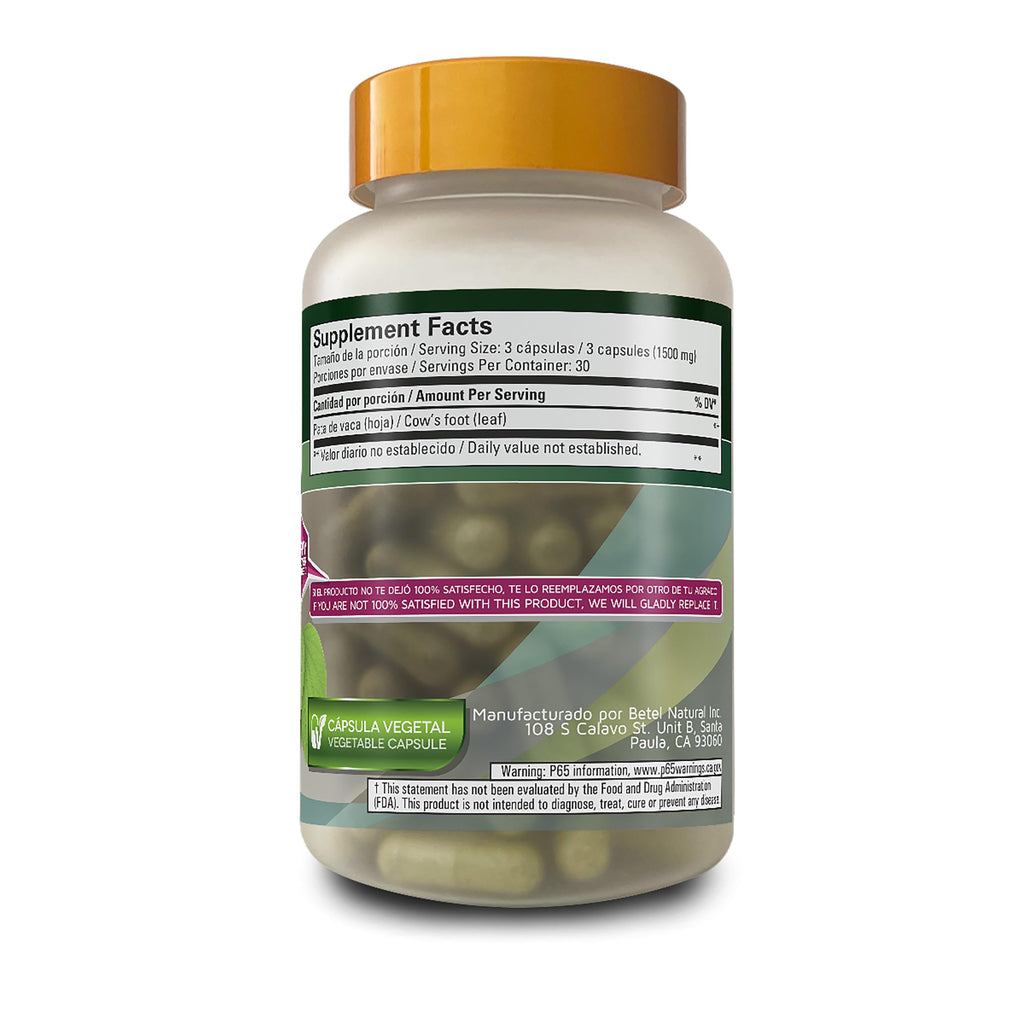 Brazilian superfood for wellness