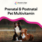 Breed to Wean prenatal DHA