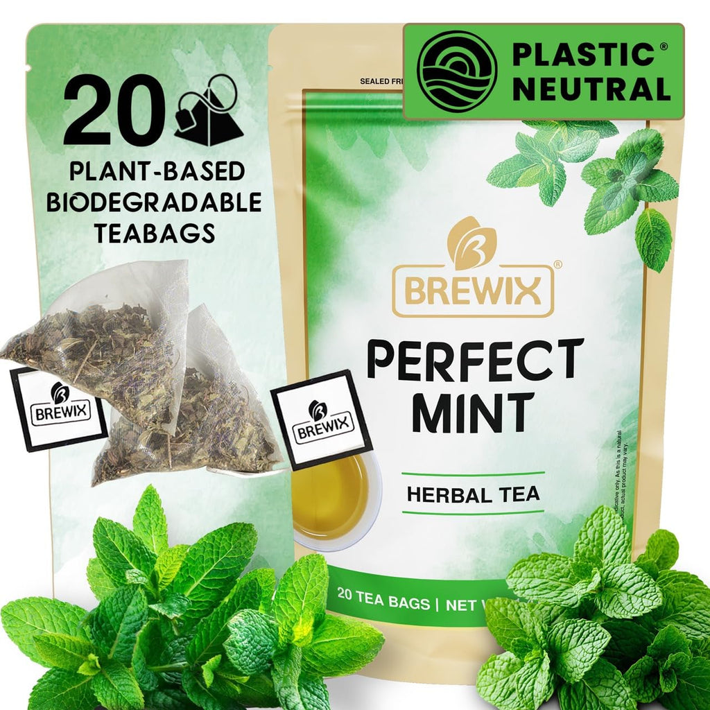 BREWIX Perfect Mint Tea bags
