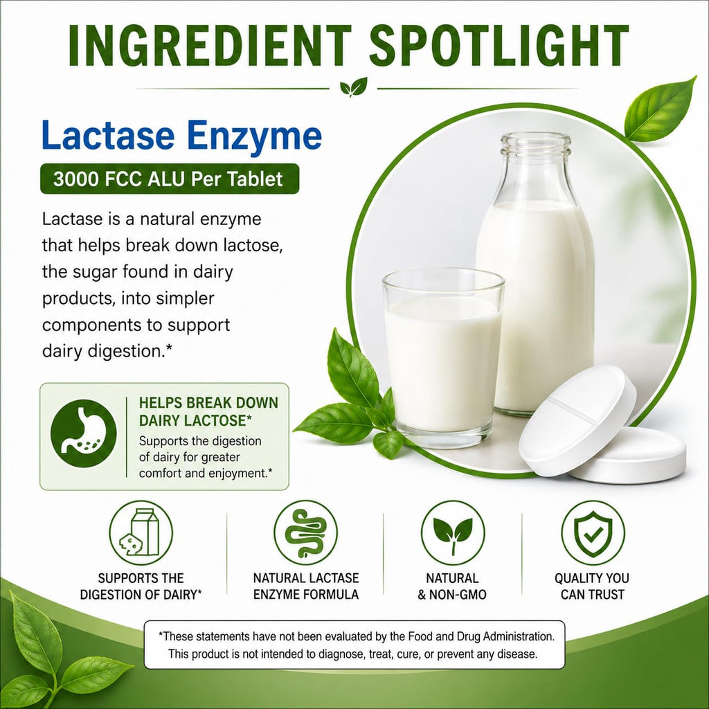 Brieofood digestive enzymes for comfort