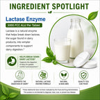 Brieofood digestive enzymes for comfort