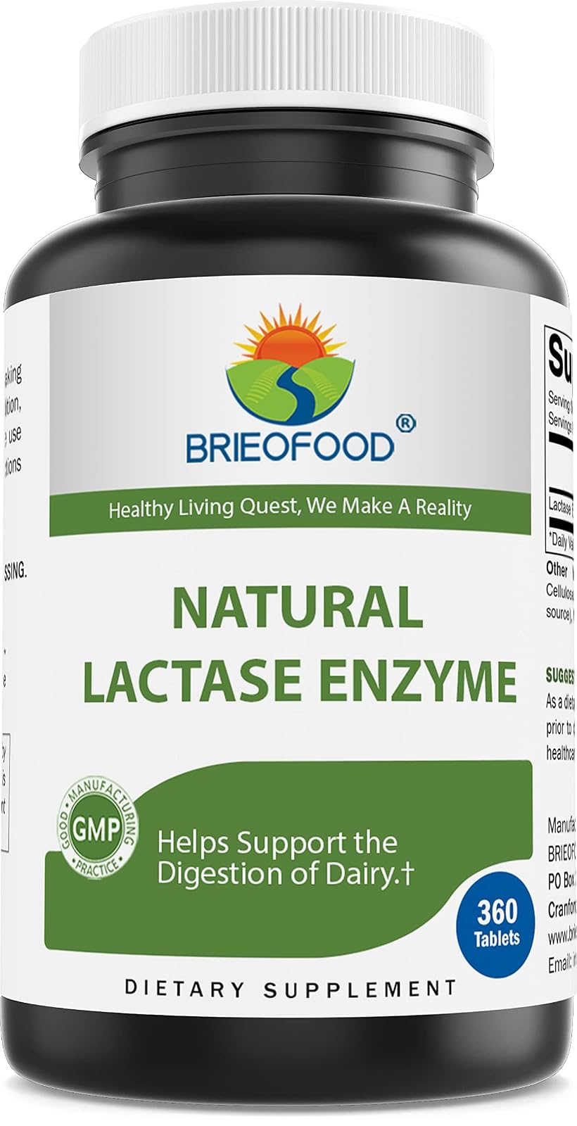 Brieofood lactase enzyme for digestion