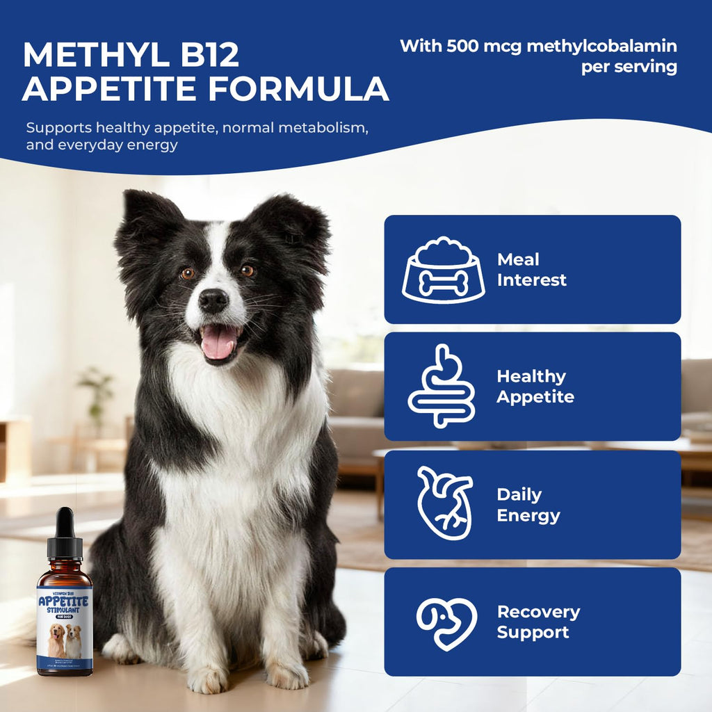 BrightBarki Vitamin B12 for healthy metabolism