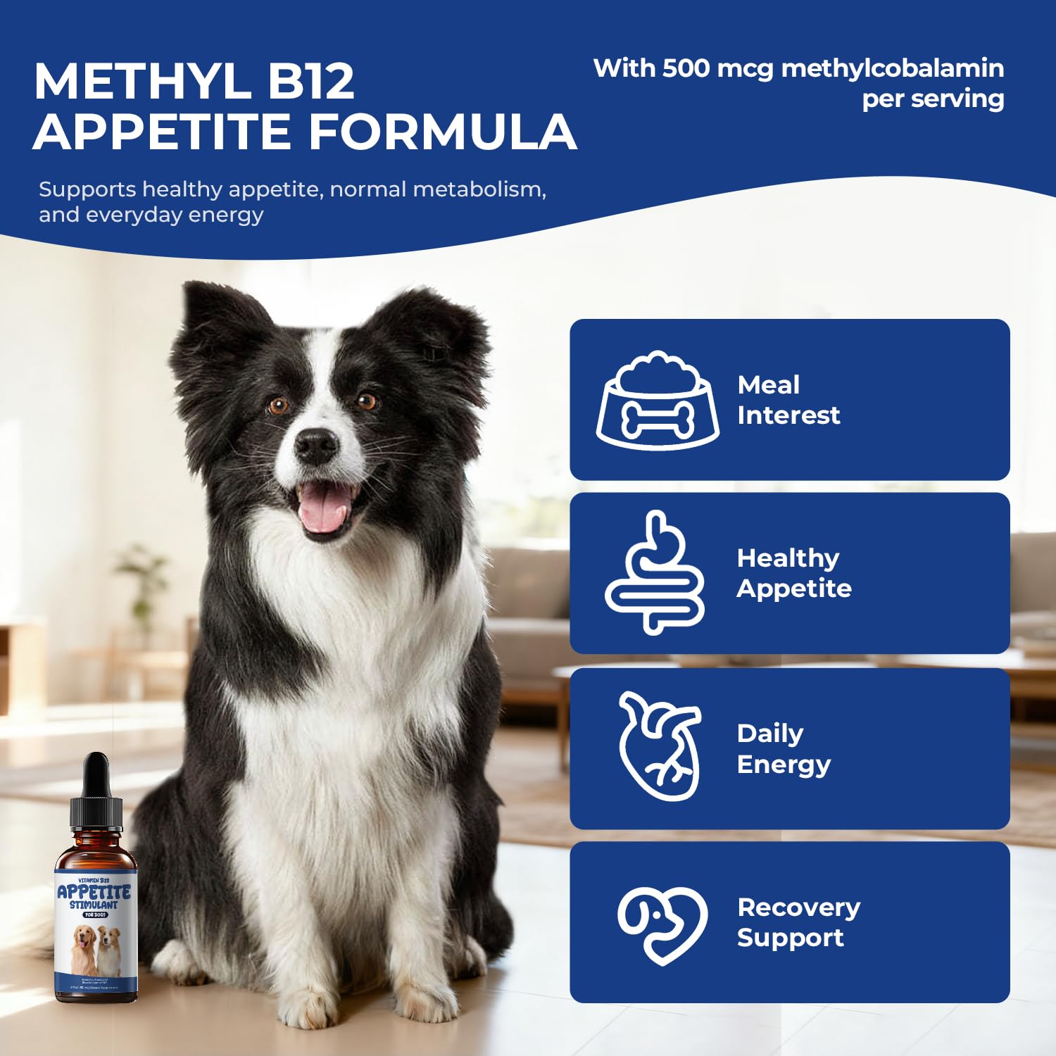 BrightBarki Vitamin B12 for healthy metabolism