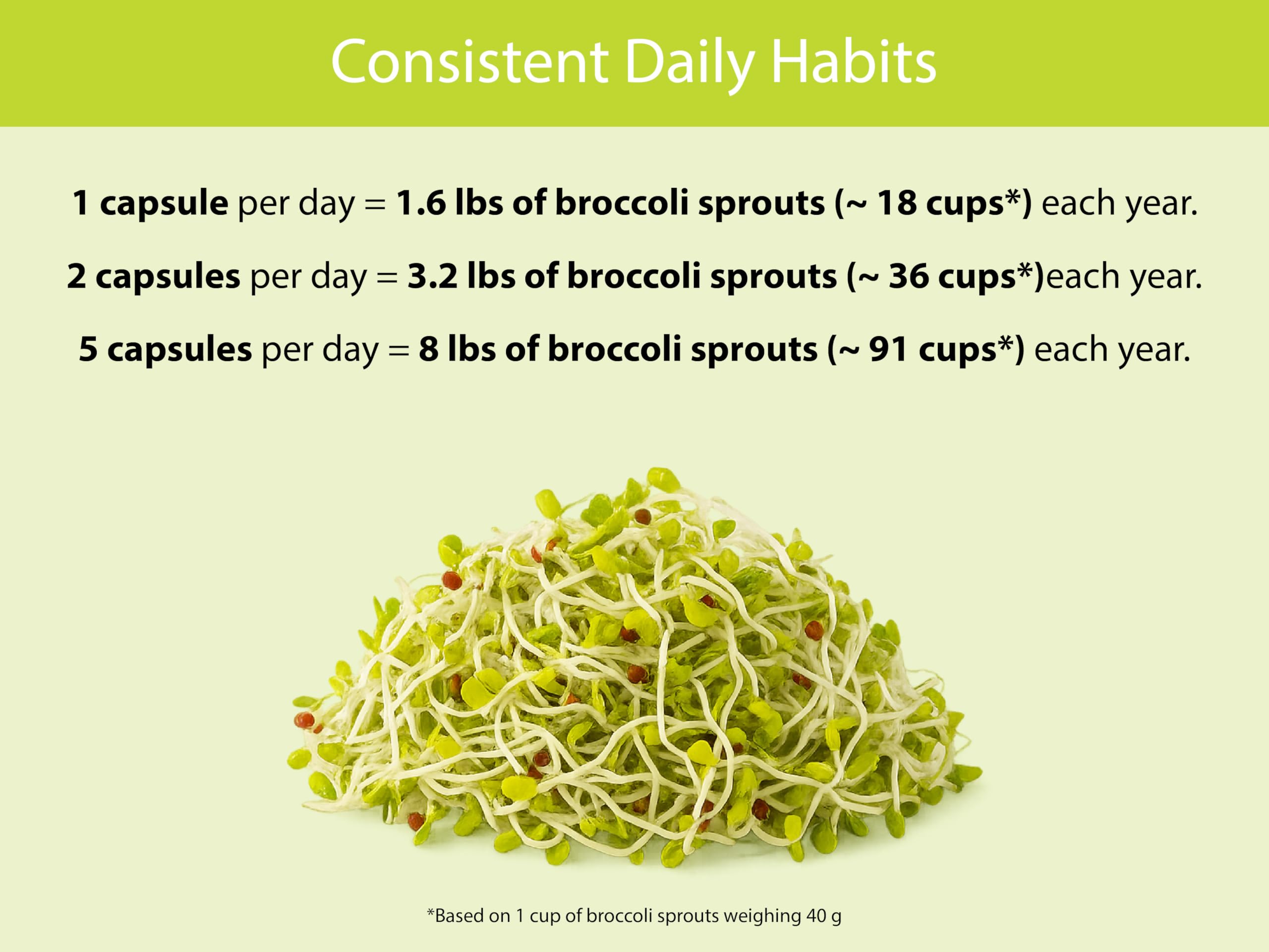 broccoli sprout capsules for digestion