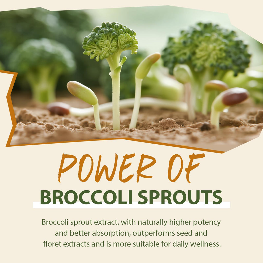 broccoli sprouts capsules for immune health