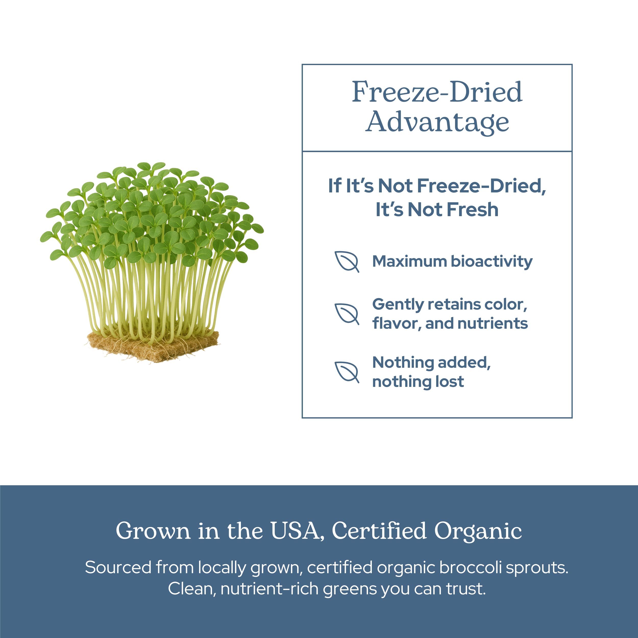 broccoli sprouts for detoxification