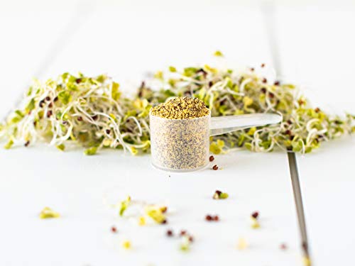 broccoli sprouts for digestive health