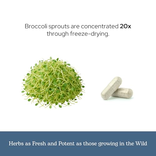 broccoli sprouts for immune support