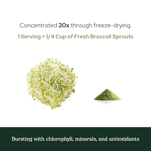 broccoli sprouts powder for daily nutrition
