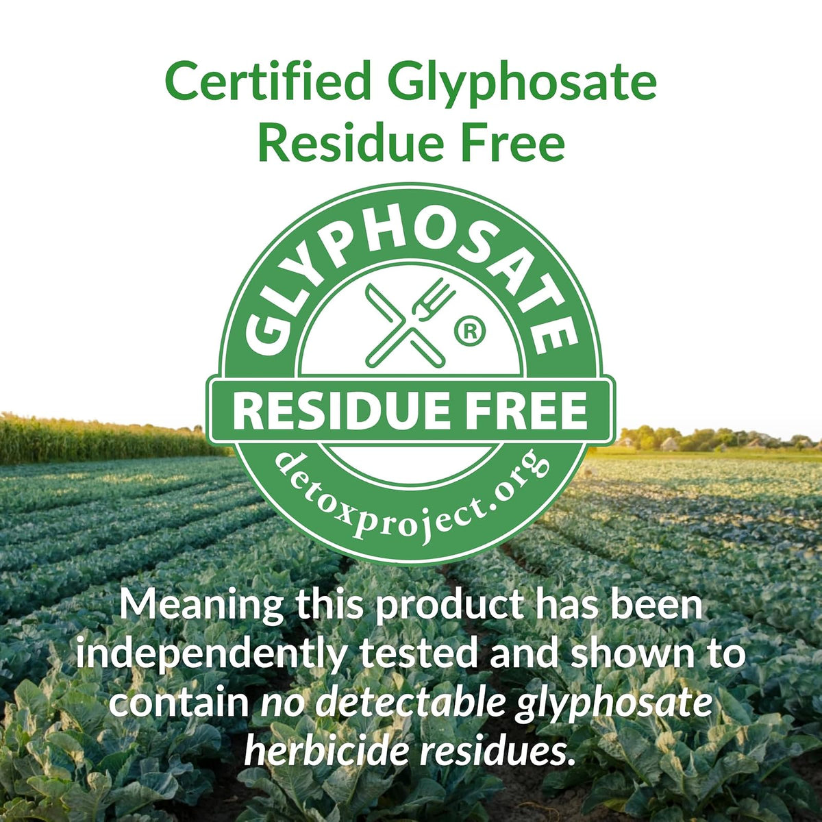 BrocElite kids vitamins for daily wellness
