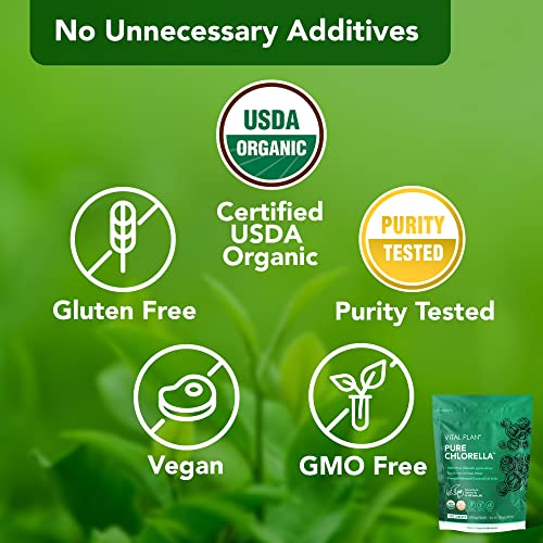 broken cell wall chlorella for absorption