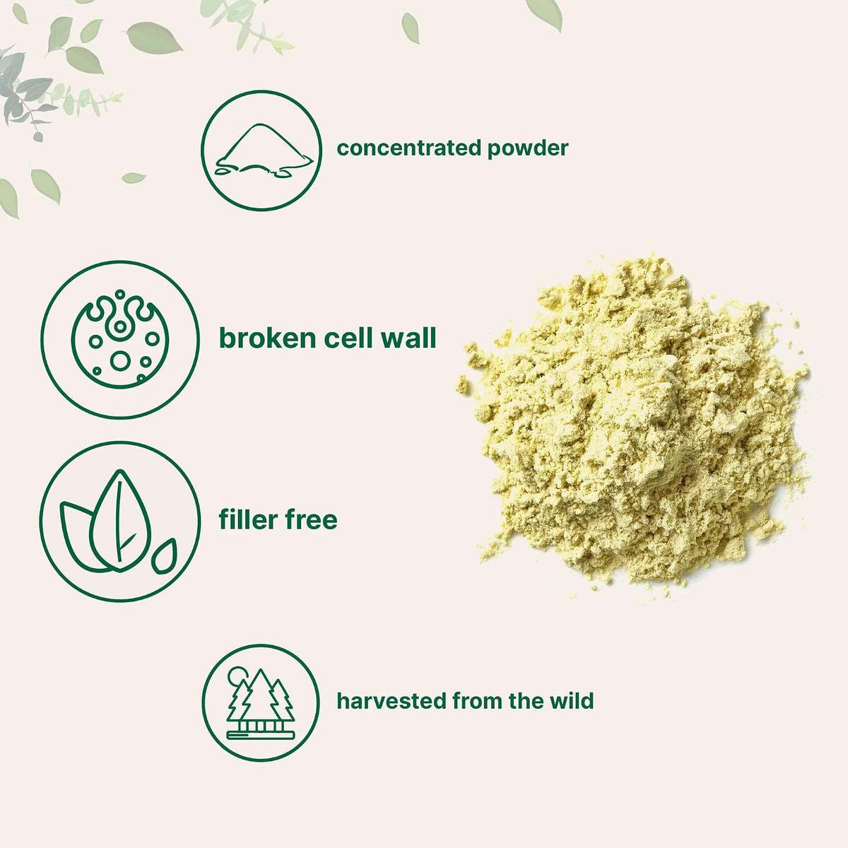 broken cell wall multivitamin for men