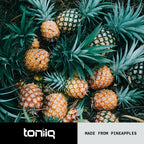 bromelain capsules for digestive wellness