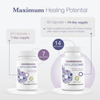 bromelain capsules for inflammation relief