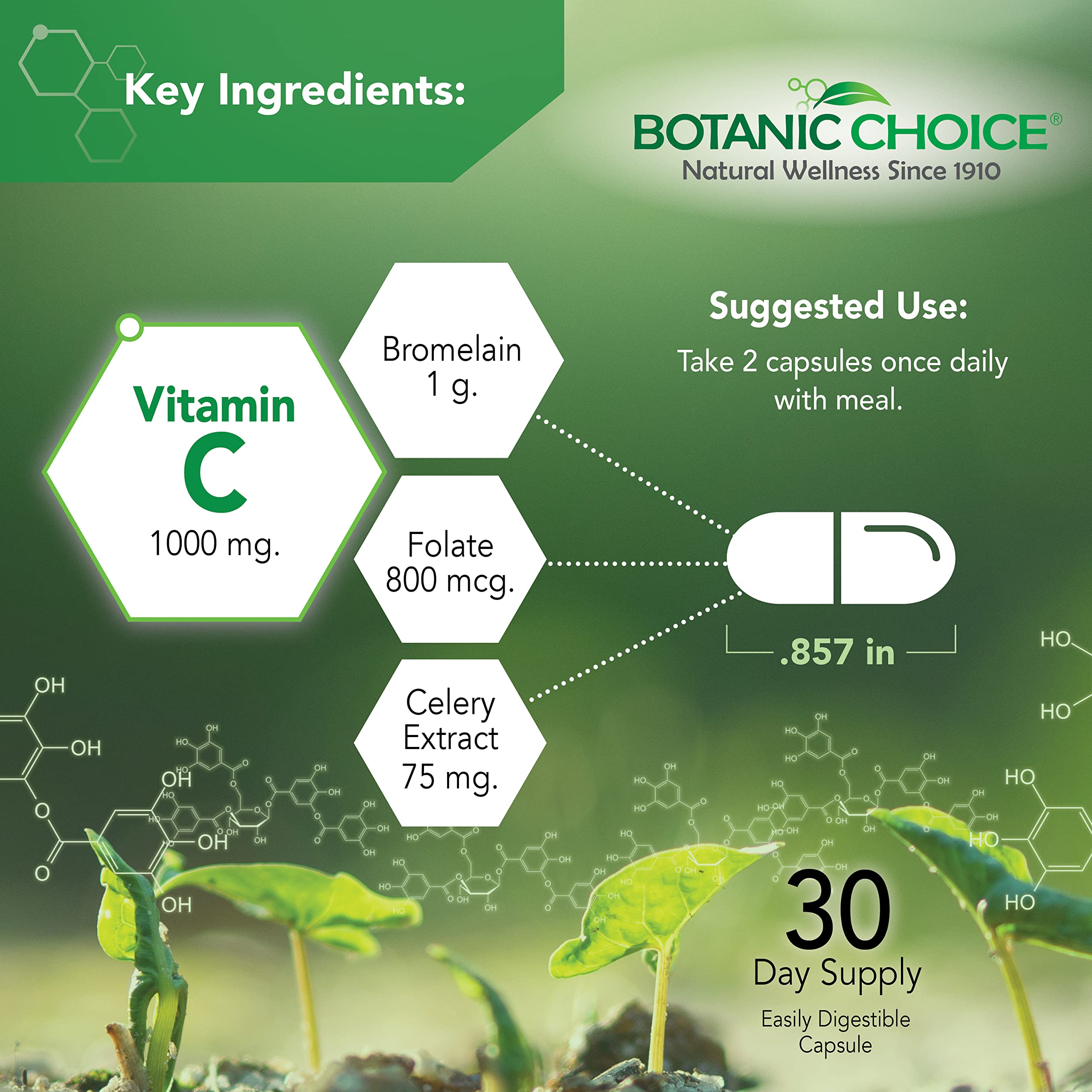 Bromelain for joint health support
