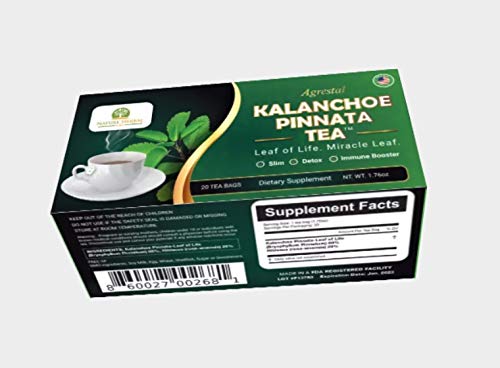 Bryophyllum Pinnatum herbal remedy