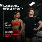 Bucked Up creatine gummies for convenience