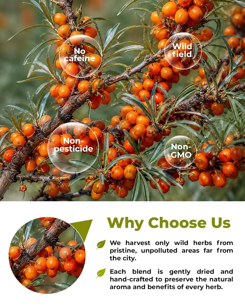 Buckthorn bark infusion for health