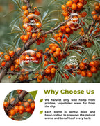 Buckthorn bark infusion for health