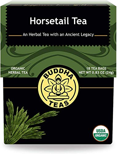 Buddha Teas organic horsetail tea benefits