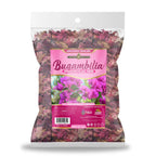 Bugambilia herbal tea for relaxation
