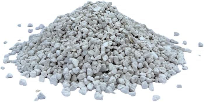 bulk bag calcium for strong bones