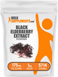 bulk elderberry extract powder