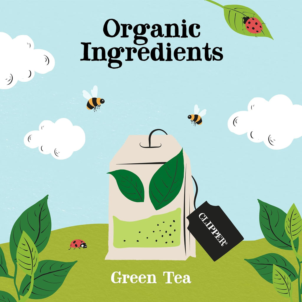 bulk green tea for daily use