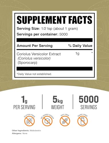 bulk mushroom powder for smoothies