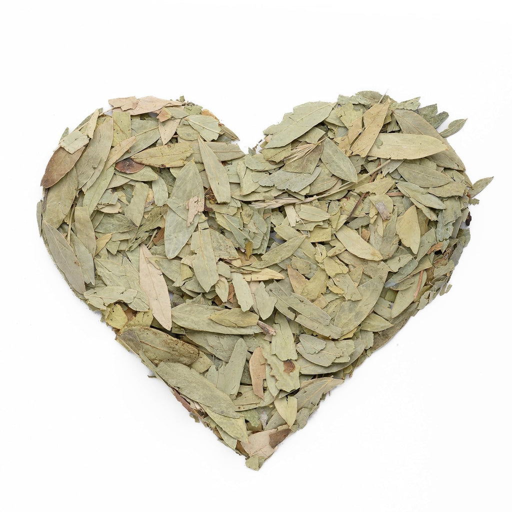bulk organic senna leaf tea