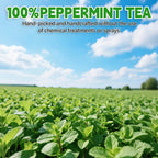 bulk peppermint tea bags 180 count