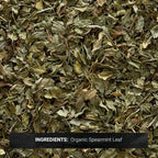 bulk spearmint leaf for tea