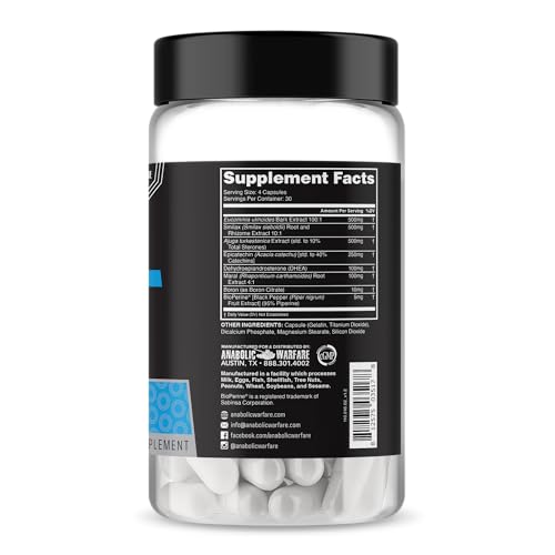 bulk up with Anabolic Warfare Project Bulk
